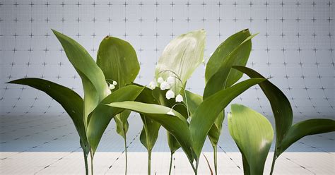 Settings For Foliage Materials In Twinmotion Twinmotion Documentation
