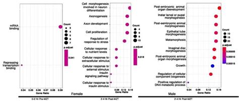 Peer Review In Sex Specific Splicing Occurs Genome Wide During Early Drosophila Embryogenesis