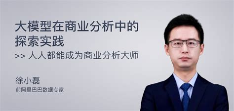 大模型在商业分析中的探索实践 徐小磊 专栏教程 极客网
