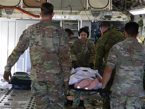 Dvids Images Litter Training [image 3 Of 6]