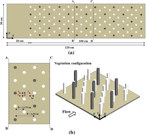 A Modeled Geometry Of Liu Et Al [35] And B Vegetation Configuration