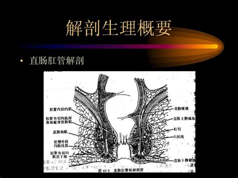直肠肛管疾病 Word文档在线阅读与下载 无忧文档