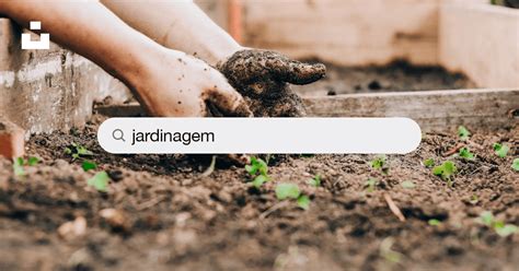 100 Fotos De Jardinagem Baixe Imagens Gratis No Unsplash
