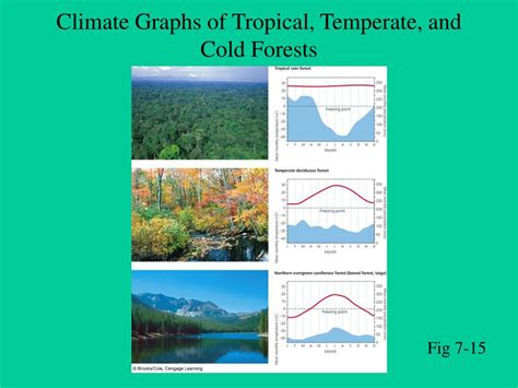 Ppt Chapter 7 Climate And Terrestrial Biodiversity Powerpoint