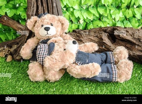 Couple Teddy Bears Photos At Laura Hefley Blog