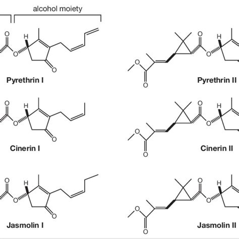 Molecular Structures Of The Six Natural Pyrethrins From Soderlund Et Download Scientific