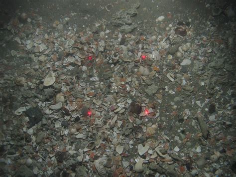Jncc Marine Survey Update Shell Hash And Submarine Structures