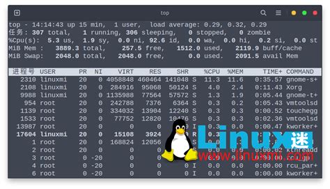 如何在 Linux 上安装和使用图形监控工具 gtop Linux迷
