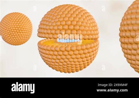 Lipid Nanoparticle Structure Stock Videos And Footage Hd And 4k Video Clips Alamy