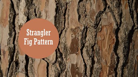 Strangler Fig Pattern