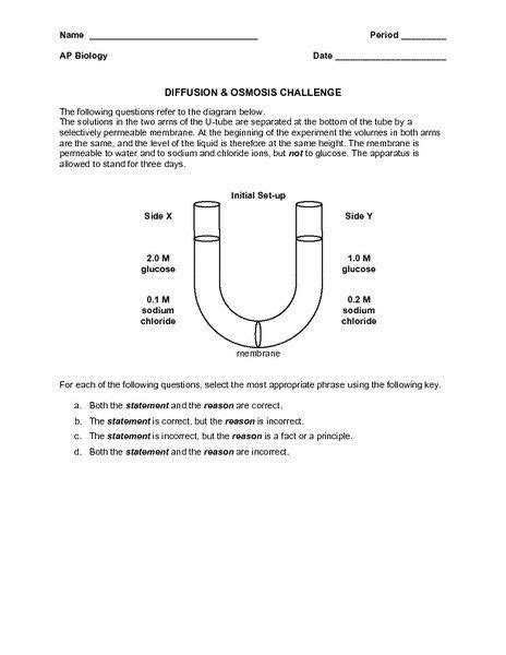 Diffusion And Osmosis Worksheet Answers Owhentheyanks