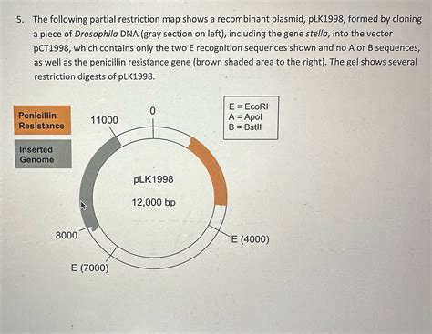 solved the following partial restriction map shows a