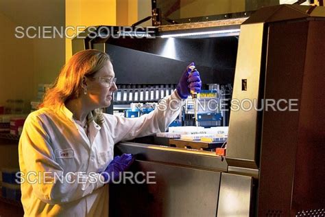 Dna Genotyping And Sequencing Stock Image Science Source Images