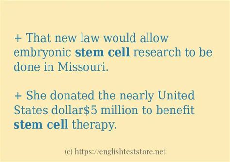 Make Sentence Of Stem Cell Englishteststore Blog