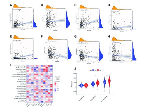 A H Correlation Between Risk Scores And Various Immune Cells I