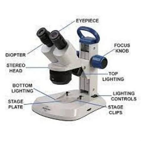 Dissecting Microscope At Rs 7950 Piece Dissecting Microscope In