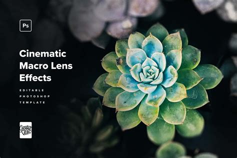 Cinematic Lens Photo Effects Design Cuts