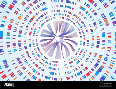 Genome Infographic Dna Sequence Visualization Genetic Mapping Gene
