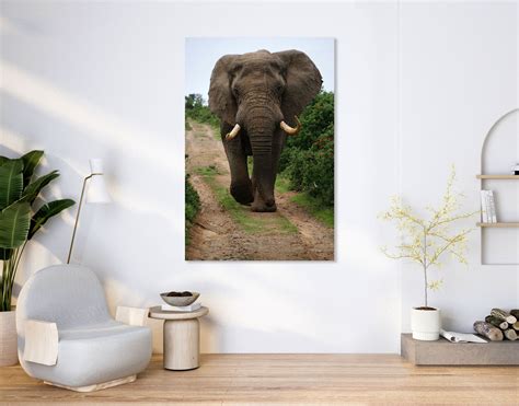 Elephant Canvas Elephant Wall Art Elephant Print Elephant Wall Etsy