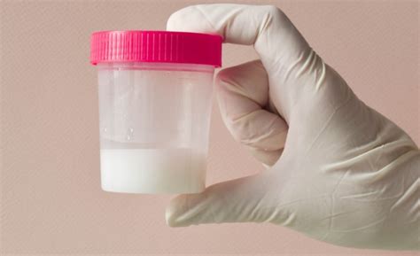 Max Semen Volume 3 Simple Ways To Boost Your Semen Production By 500