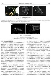 Ultrastructure Of Sensilla On The Antennae Proboscis And Tarsi Of