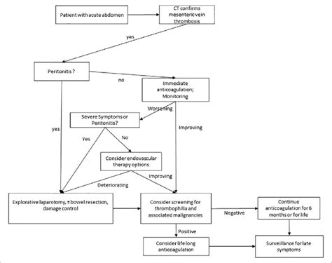Suggested Algorithm For Management Of Acute Mvt Download Scientific