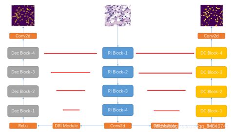 深度学习（u net）在细胞核分割中的应用 病理切片200倍和400倍区别 csdn博客