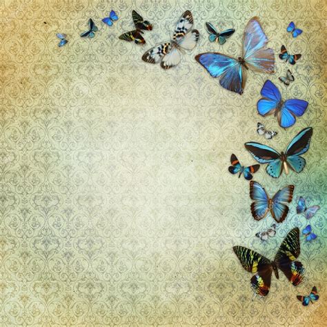 Fondos De Escritorio Imprimibles Con Mariposas Vintage