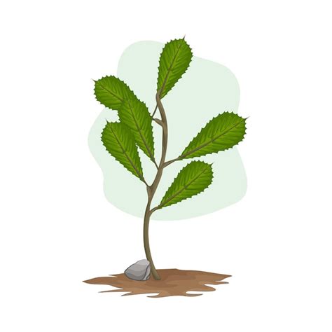 Premium Vector Illustration Of Leaf