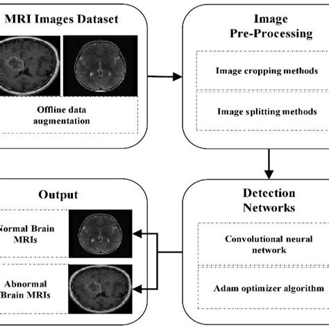 Brain MRI Images From The Dataset A Normal Brain Images B Tumor Download Scientific