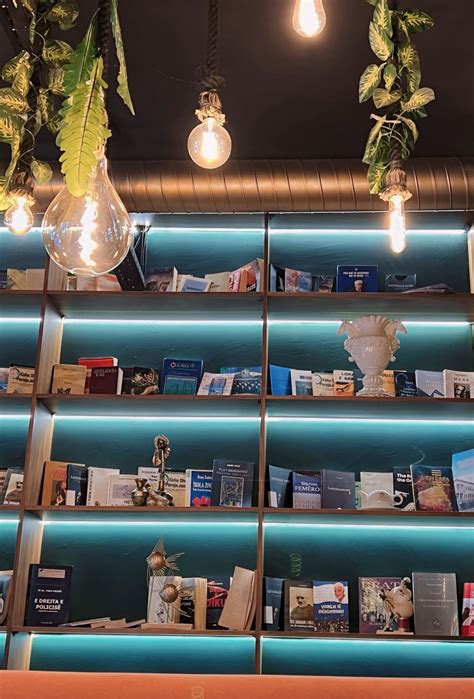 Liridon Hoti On Linkedin My Favorite Reading Corner In These Summer Days Reading The Book