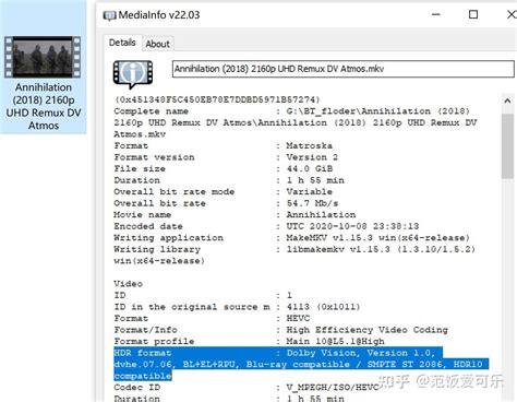 软件分享：让电视轻松播放杜比视界片源 知乎