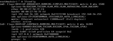 setting up freebsd environment on virtualbox fuzzyware