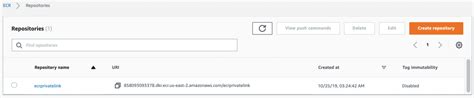 AWS PrivateLink ECR Cross Account Fargate Deployment Containers