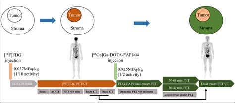 Schematic Diagram Of The Imaging Protocol This Figure Was Adapted With