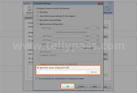 Configure Windows 10 Proxy Firefox Tellypass