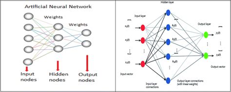 Mlp Neural Network Structure Left And Right Figure Show Rbf Neural Download Scientific