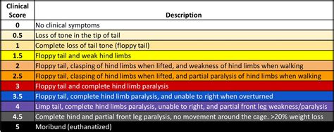 Eae실험적 자가면역 뇌척수염란 무엇인가
