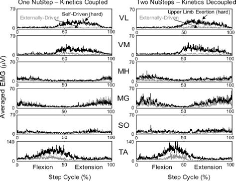 Figure 7 From Neural Coupling Between Upper And Lower Limbs During Recumbent Stepping