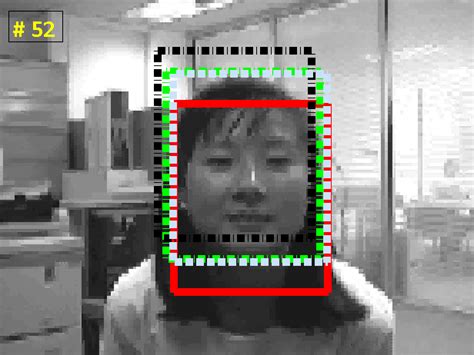 Examples Of Bounding Boxes Resulting From Tracking On Several Videos Download Scientific