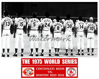 Mlb 1975 Cincinnati Reds Starting Line Up World Series 8 X 10 Photo