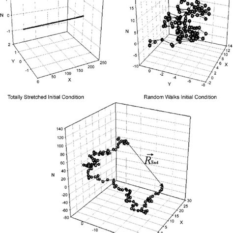 Two Limiting Initial Conditions And Their Equilibrium Configuration For