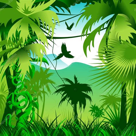 Jungle Stock Vector Image By ©sababa66 33331037