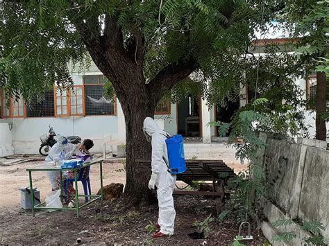 ဝက်လက်မြို့နယ်၌ ကိုဗစ် ၁၉ ရောဂါ ဓာတ်ခွဲ အတည်ပြုလူနာနှင့် ထိ‌တွေ့သူများ၏ နှာခေါင်း၊ အာခေါင်တို့ပတ