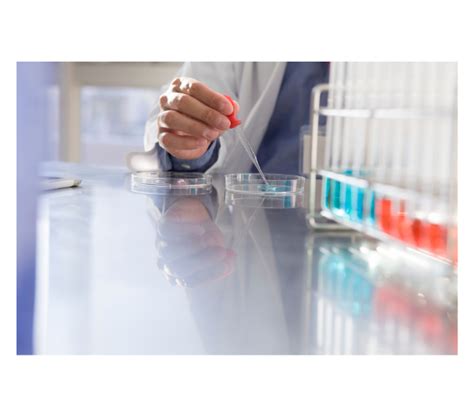 The Purpose Of Preclinical Testing A Pillar Of Drug Development Lide Biotech