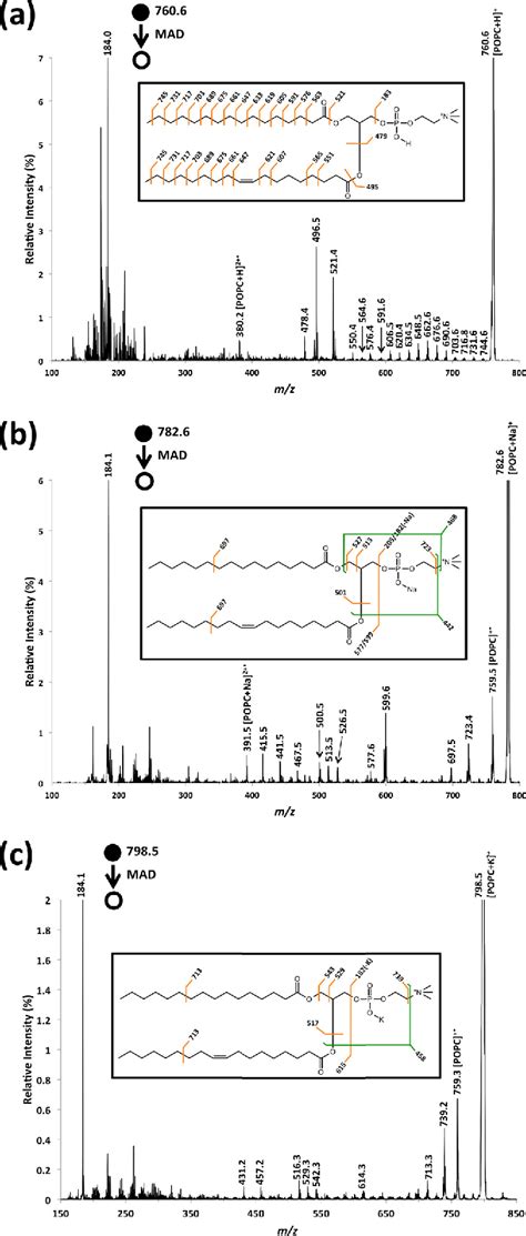 Figure 1 From Multistage Mass Spectrometry Of Phospholipids Using