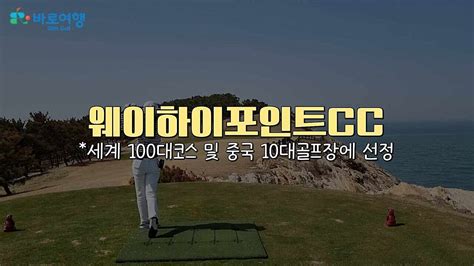 웨이하이포인트cc 있는 중국 위해골프🌊 궁극의 가성비 일정 추천 네이버 Tv