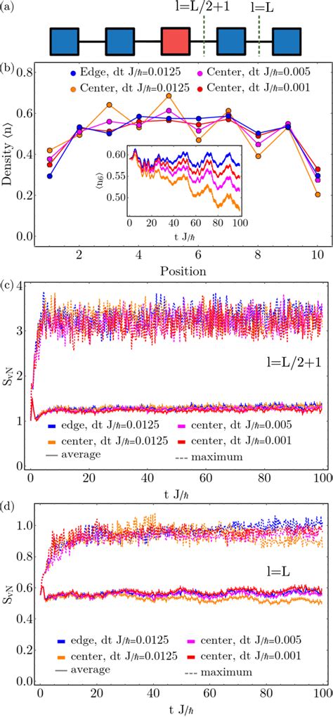 A The Graphical Representation Of An Alternative Mps Structure With Download Scientific