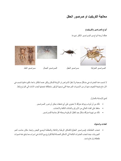 معالجة الكريكيت او صرصور الحقل Pdf