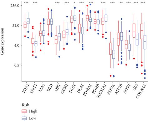 Validation Of The Cuproptosis Related Prognostic Signature In The